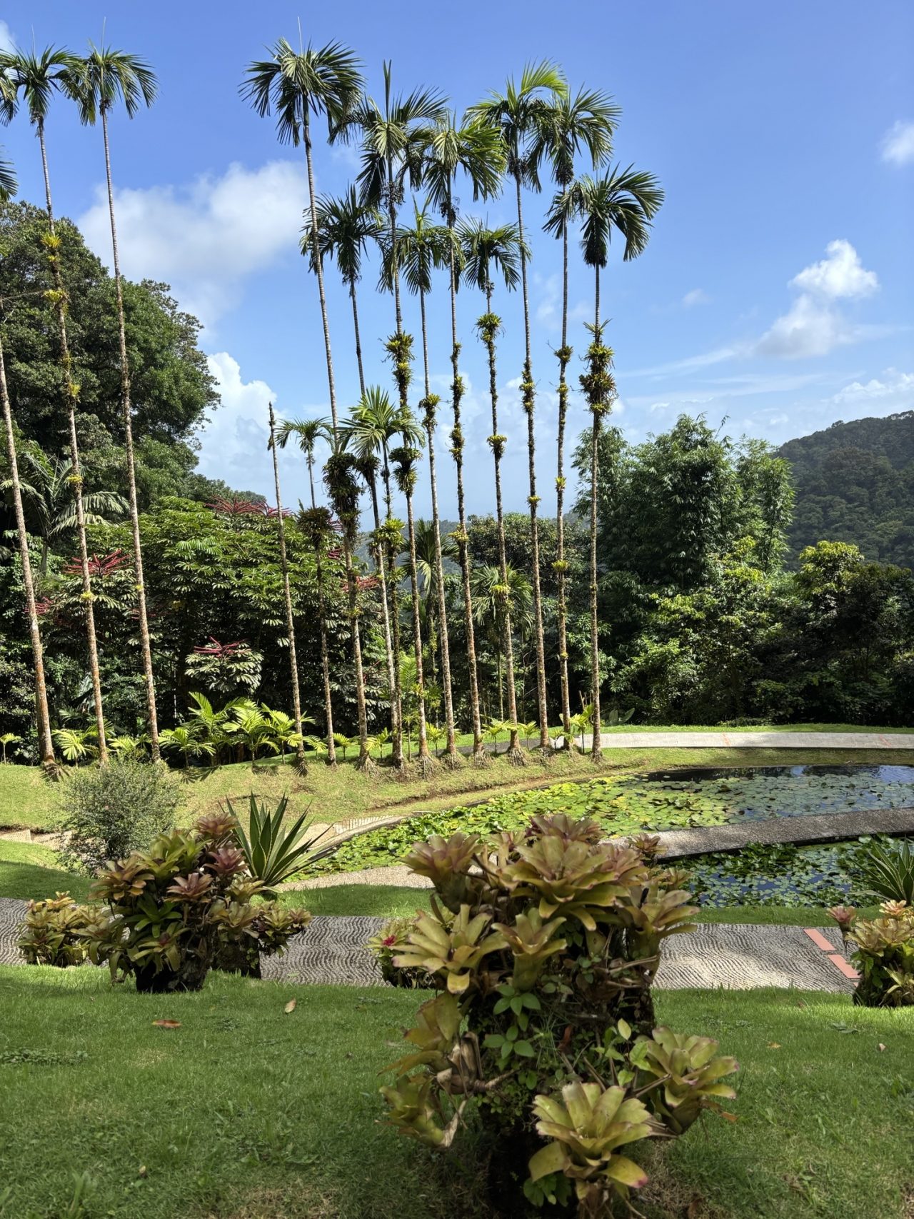 Biolab Cerballiance Martinique | Sercon Instruments and Applications